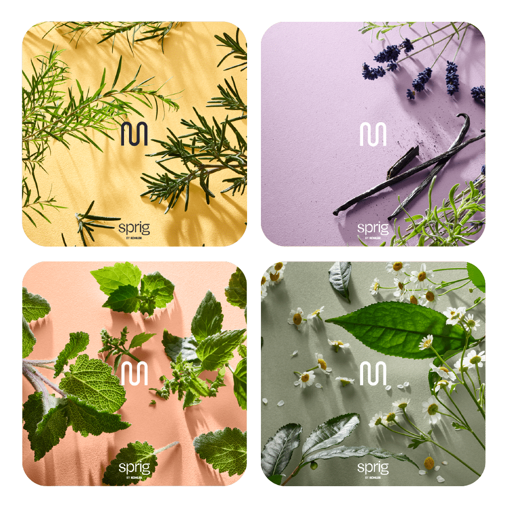 Multisensory Activation - Myndstream